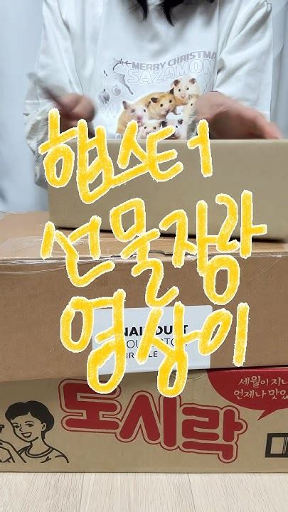 햄스터 선물 자랑 햄스터안나옴 Youtube