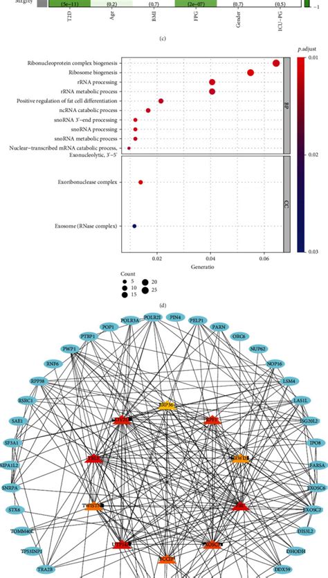 Multiomics Integrated Analysis Identifies Slc24a2 As A Potential Link