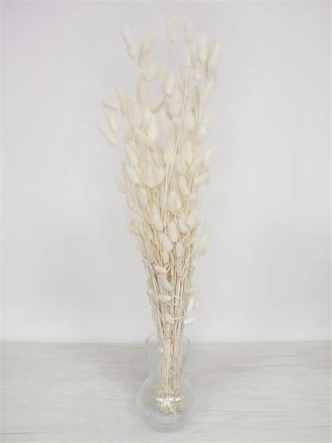 Пшениця вибілена біла купити в Україні за низькою ціною • Dfb Elements