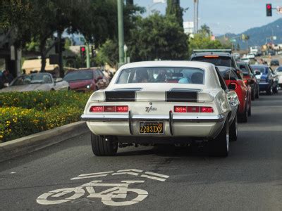 Camaro Assortment Tumbex