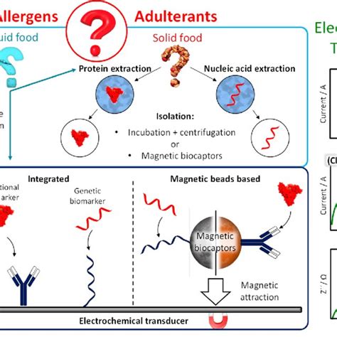 Schematic Display Of The Fundamentals Target Biomarker Extraction And