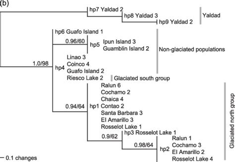 bayesian skyline plots of historical demographics using mtdna sequence