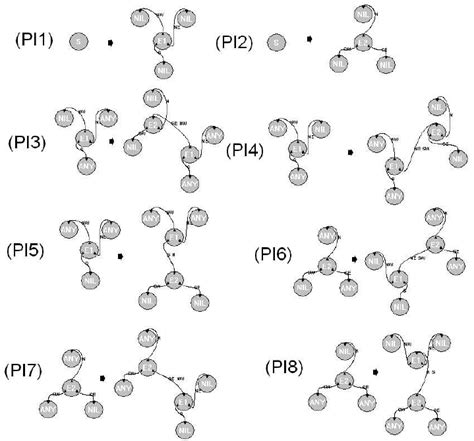 Set Of Graph Grammar Productions Pi1 Pi8 For The Generations Of