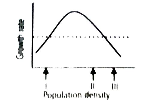 The Relationship Between Population Density Nt And Population Grow The Relationship Between Population Density Nt And Population Grow