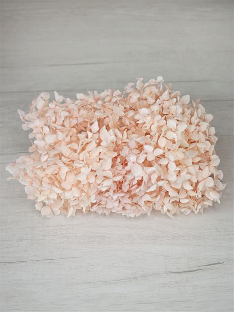 Гортензія стабілізована біла 100 гр купити в Україні за низькою ціною • Dfb Elements