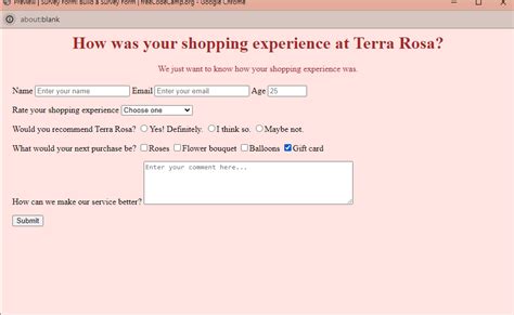 Build A Survey Form Html Css The Freecodecamp Forum