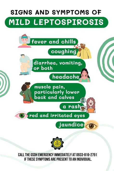 Leptospirosis Symptoms