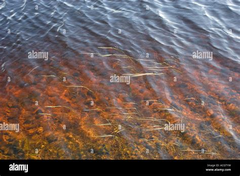 Reflected Refracted And Diffracted Light Create Shapes And Patterns On