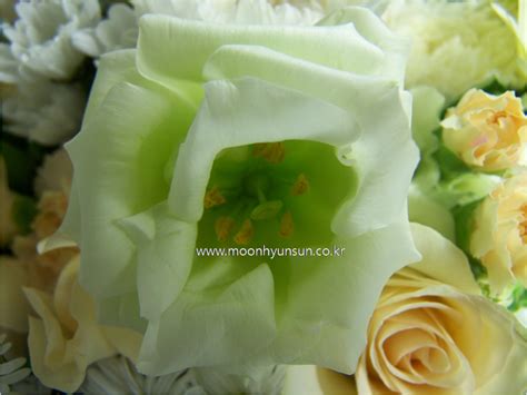 꽃다발 근조화근조꽃다발장례꽃장식 추모식 장례식장식 관장식 네이버 블로그