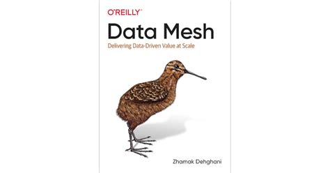 Data Mesh Delivering Data Driven Value At Scale By Zhamak Dehghani