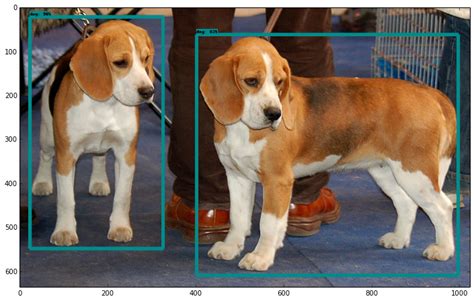 Tensorflow Object Detection Apiの環境構築と実行のまとめ Macosとubuntu 1604に対応 アイデアハック