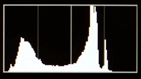 Understanding Your Cameras Histogram