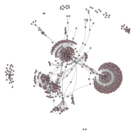the graphical representation of the extracted skeleton network from
