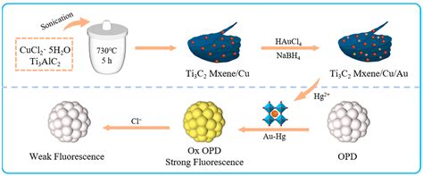 Smartphone Enabled Fluorescence And Colorimetric Platform For The On Site Detection Of Hg2 And