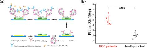 A Schematic Of Exosome Detection Process By A Double Antibody Download Scientific Diagram