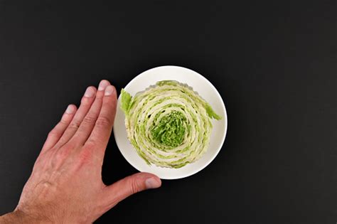 검은 배경에 손에 북경 양배추 화이트 베이징 양배추입니다 신선한 식이 녹색과 흰색 북경 양배추의 영구 관리자 컷 아웃의 모양 손에 베이징 양배추 갈색에 대한 스톡 사진 및