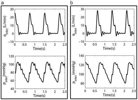 samples of hemodynamic waveforms a a sample of an aortic input flow
