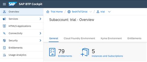 Space Not Visible Under Btp Sub Account Sap Community