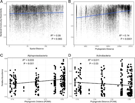 Host Phylogenetic Distance Determines The Bacterial Community