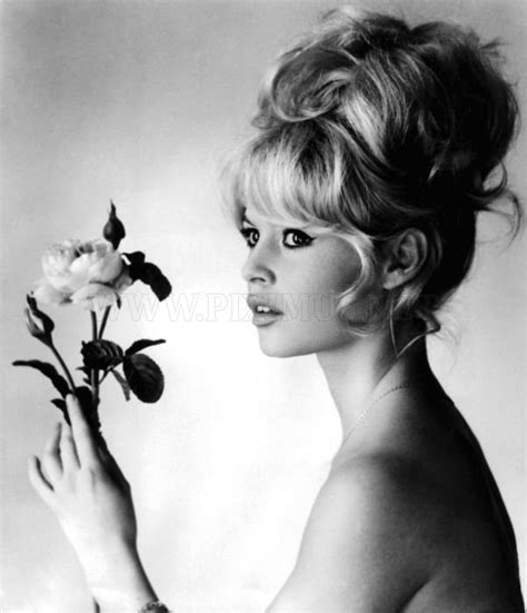Brigitte Bardot Then And Now Celebrities