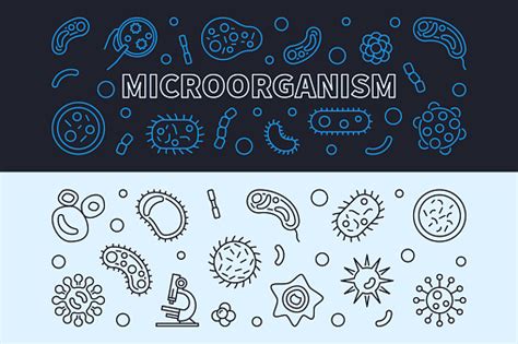 2 미생물 라인 배너 세트 벡터 바이러스학 일러스트 레이 션 감기와 독감에 대한 스톡 벡터 아트 및 기타 이미지 감기와 독감 건강관리와 의술 과학 Istock