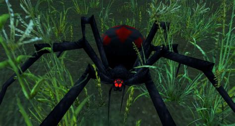Black Widow Hatchling Npc Classic World Of Warcraft
