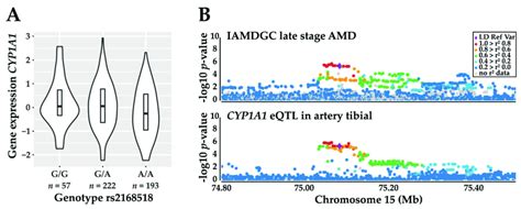 Expression Quantitative Trait Locus Eqtl Analysis Reveals Cyp1a1 As A