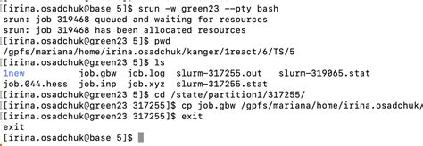 Orca Taltech Hpc User Guides