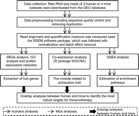 A Schematic Diagram Of The Workflow Geo Gene Expression Omnibus