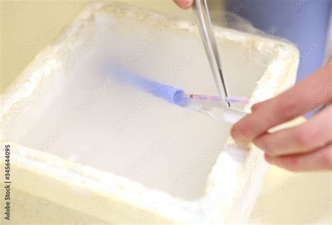 Clinic Of Reproductive Medicine Artificial Insemination Clinic Of