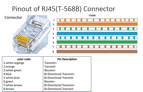 What Is Rj45 Connector An Ultimate Guide 2024