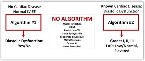Vladiana Turi On Linkedin Diastolic Dysfunction Determining Which