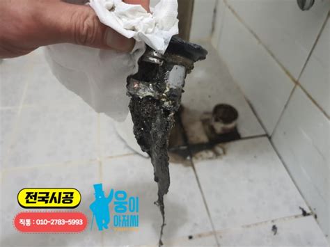 욕실 배수구 냄새 And 화장실 하수도 냄새트랩 네이버 블로그