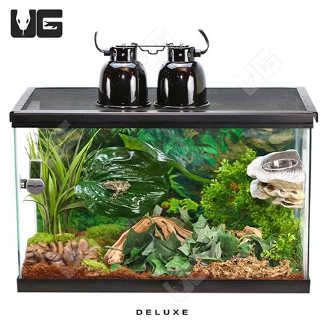 COMPLETE Gallon Tree Frog Setup Underground Reptiles