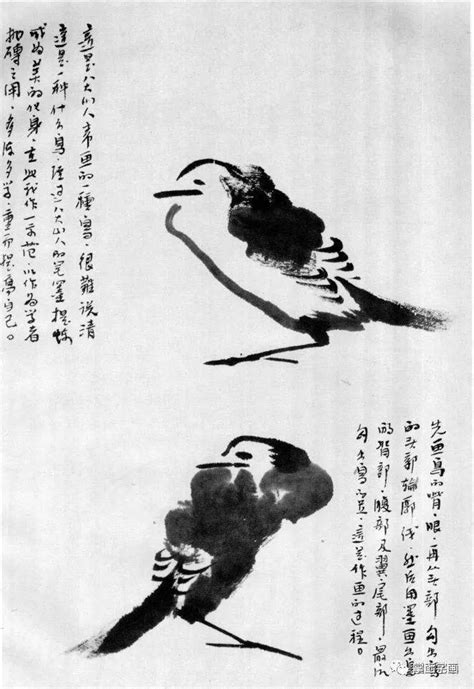 八大山人画鸟八大山人画各种鸟 伤感说说吧
