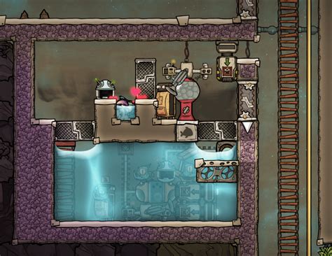 How On Earth Did You End Up Here Little Pip Xd Roxygennotincluded