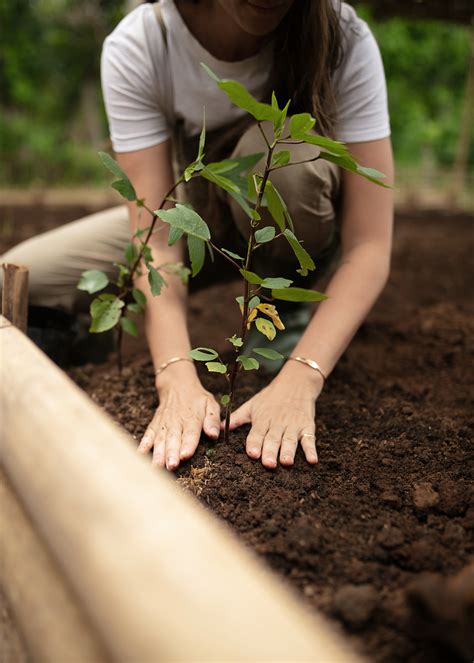 Featured Fields Of Yarrow The Punch Community