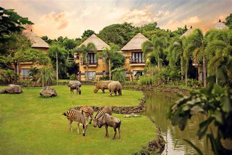What You Can Expect At Bali Safari Hotel Taman Safari Bali