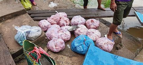 សាច់កណ្តុរ ក្លាយជា អាហារ ពេញនិយម របស់ អ្នក ខេត្ត កំពង់ឆ្នាំង សម្រាប់ រដូវទឹកឡើង នេះ Tnaot