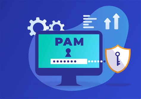 Pam Implementation Steps Challenges And Solutions Pam Implementation Steps Challenges And Solutions