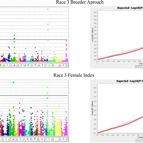 Manhattan Plot And Q Q Plot Of Association Analysis Between Snp Markers