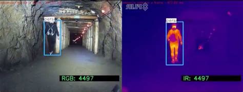correct detection in both images with the you only look once yolo