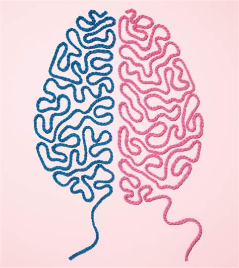 Neurosexism Gender Equality