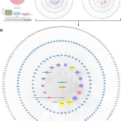 Core Component Target Pathway Network The V Nodes Represent The Top 20