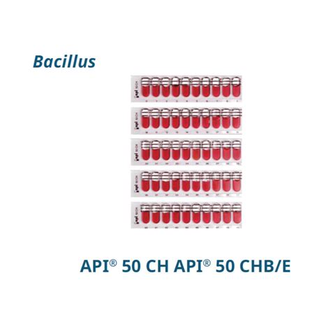 ชุดทดสอบสำหรับการจัดจำแนกเชื้อแบคทีเรีย ยีสต์ด้วยหลักการชีวเคมี Api® 50