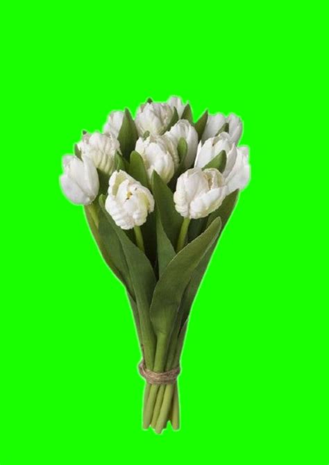 букет ландышей футаж на зелёном фоне в 2025 г Зеленые фоны Букет цветов Цветы