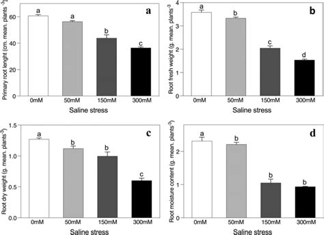 Effects Of Salinity On A Primary Root Length B Root Fresh Weight
