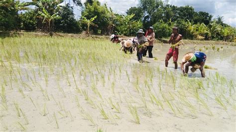 กรมส่งเสริมการเกษตรแต่งตั้งอาสาสมัครเกษตรหมู่บ้าน อกม ชุดใหม่ พร้อมปฏิบัติหน้าที่ช่วยเหลือ