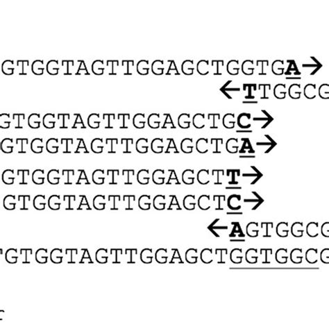 Target Region Of Kras Gene At Codons 12 And 13 For Amplification And Download Scientific