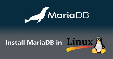การตดตง MySQL MariaDB และสราง Database ใน Amazon Linux DevelopersIO
